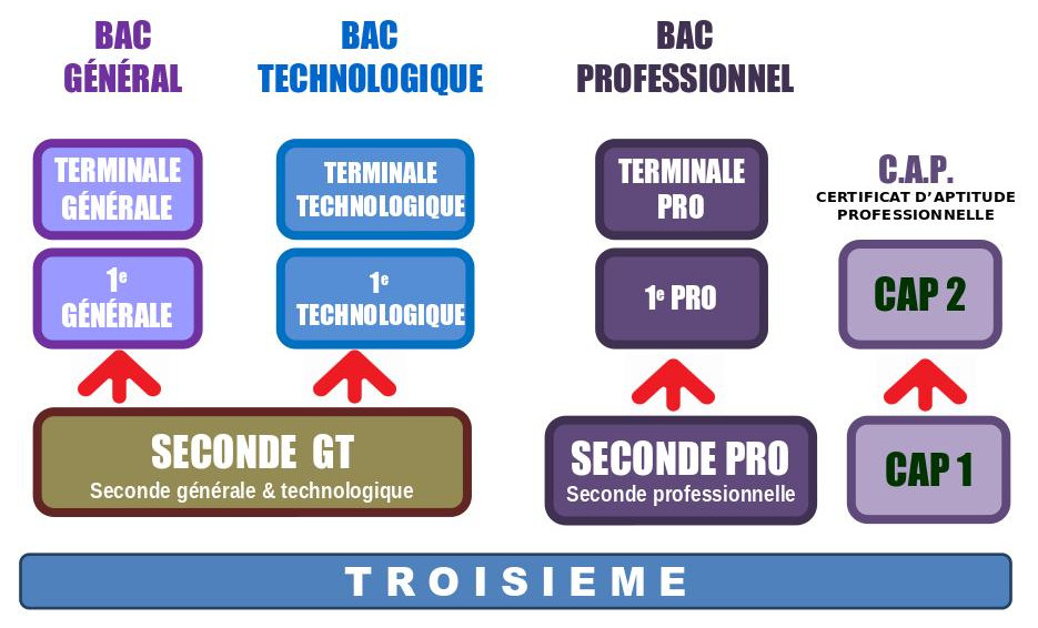 Bien choisir son orientation -Collège Cécile et Henri Rol Tanguy